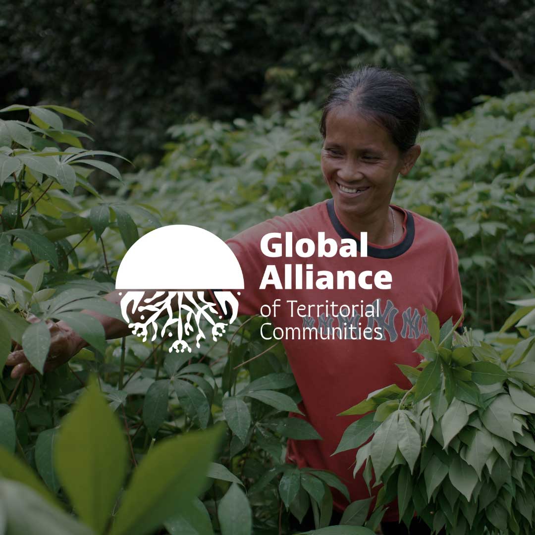 Crafting a Visual Ecosystem: Unveiling Our New Brand - Global Alliance ...